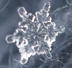 Why do snowflakes look like that? And other mysteries of nature's ...