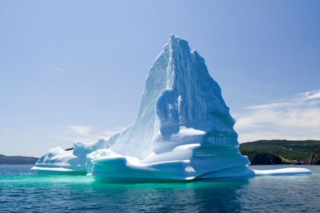 Whales, birds, and icebergs: Nature like you’ve never seen it in ...