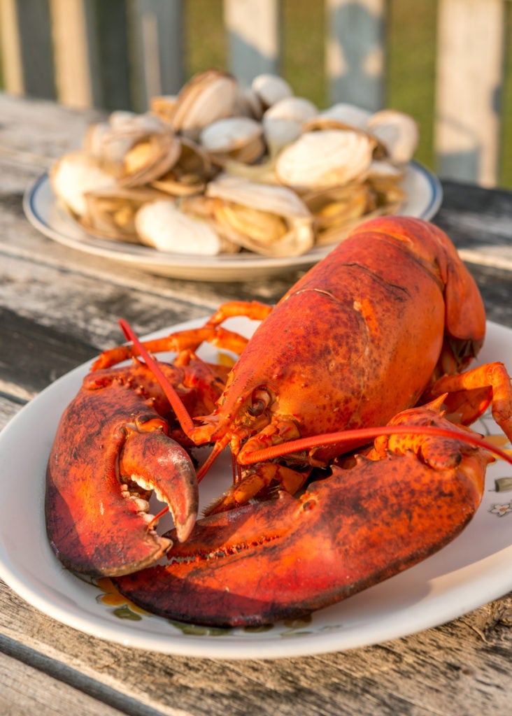 Treat yourself to big flavors in Nova Scotia | Sponsored